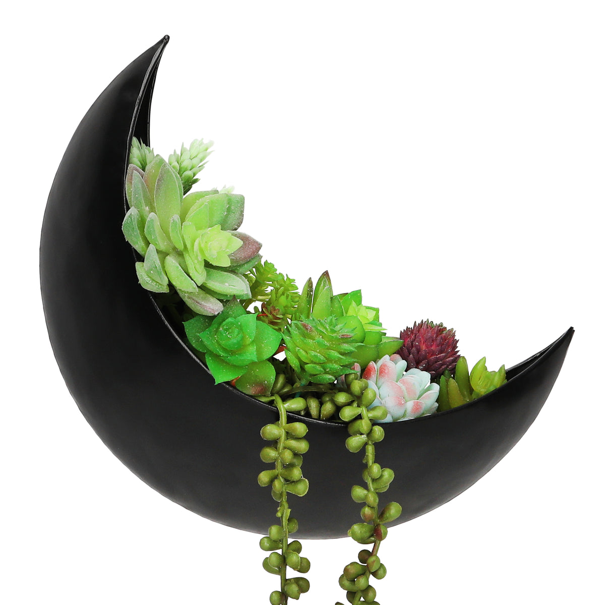 Black Wall Planter - Window Moon Planter® - Boho Planters for Indoor P ...